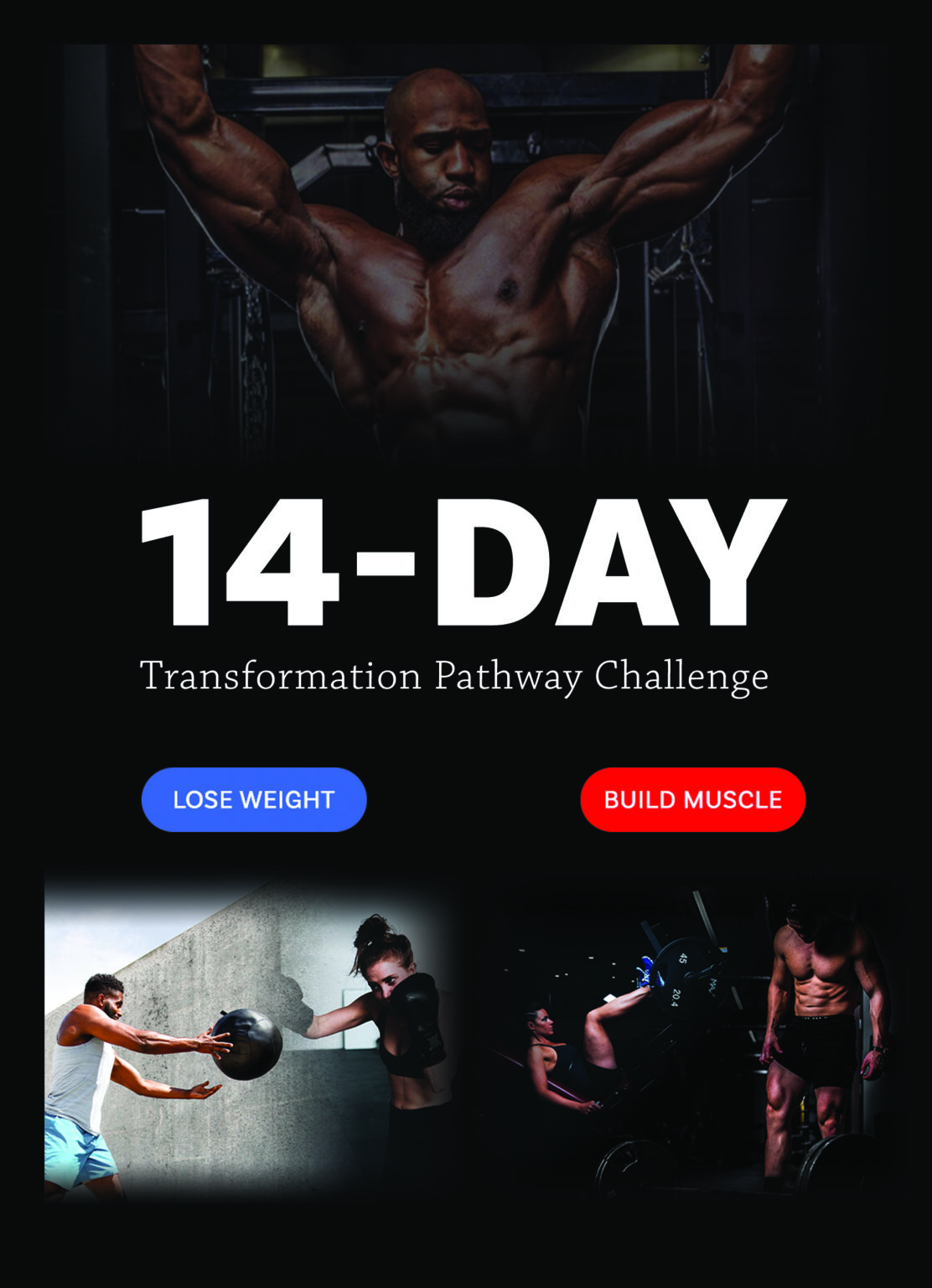 14-Day Fitness Challenge | Natt Fitness